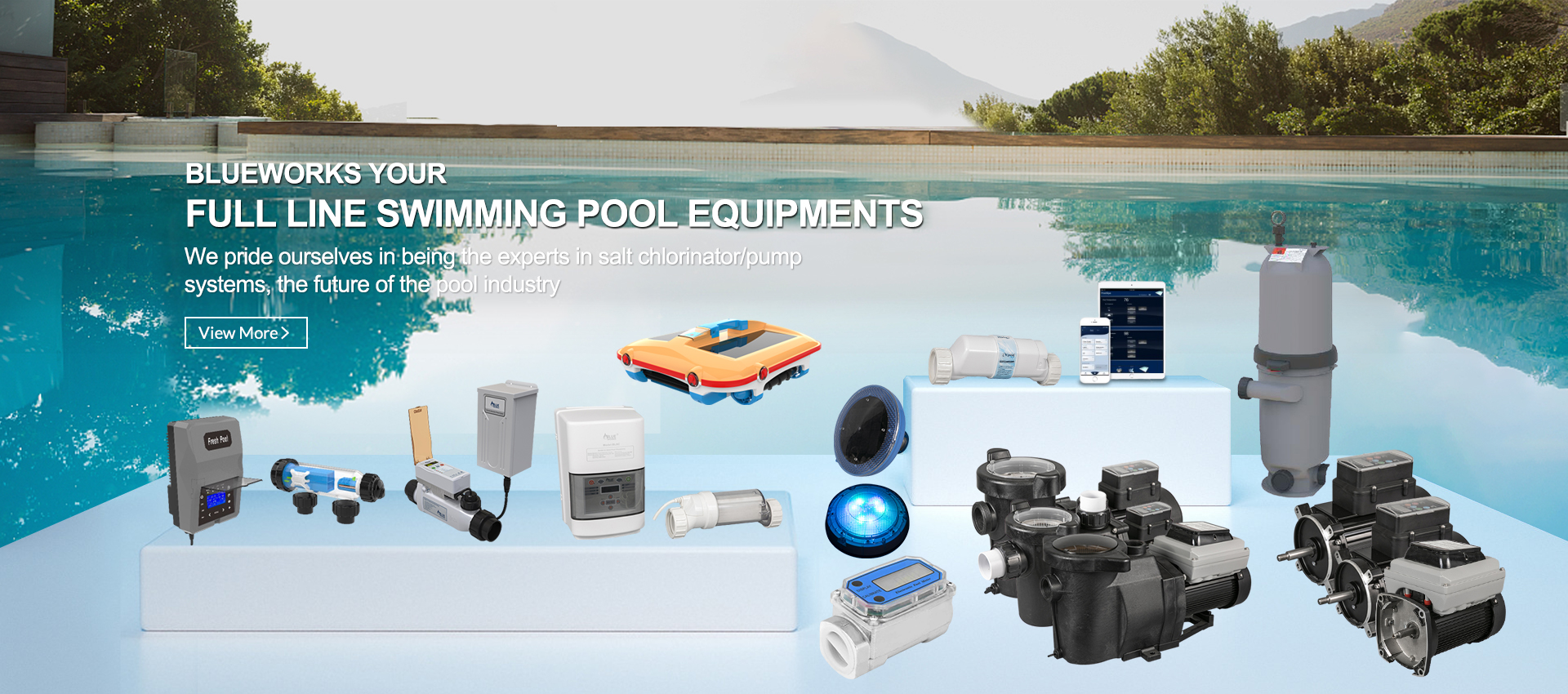 Salt Chlorinator Systems, Swimming Pool Equipments - Blueworks